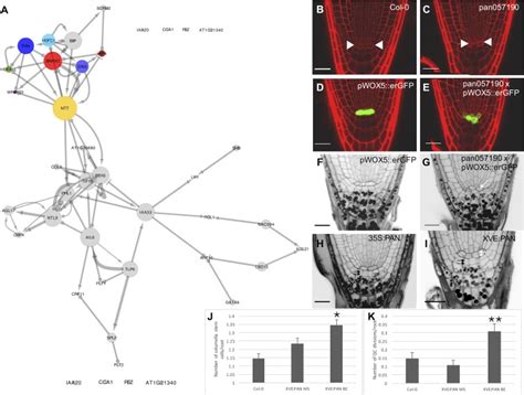 Predicting Gene Regulatory Networks By Combining Spatial And Temporal