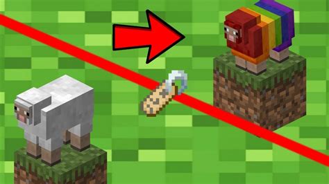 How To Make Rainbow Sheep In Minecraft Youtube