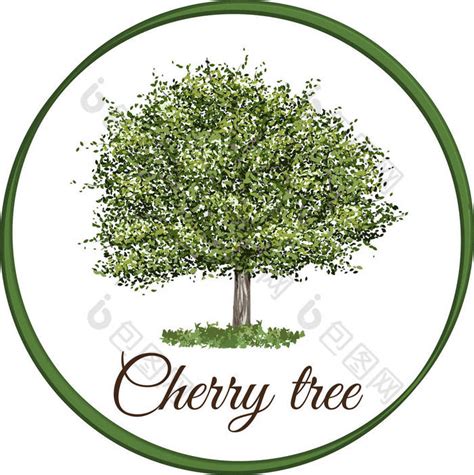 用单叶绘制的樱花树作为矢量图片 包图网企业站