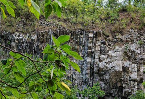 环巢湖研究中心陪同合肥日报传媒集团一行赴马家山考察