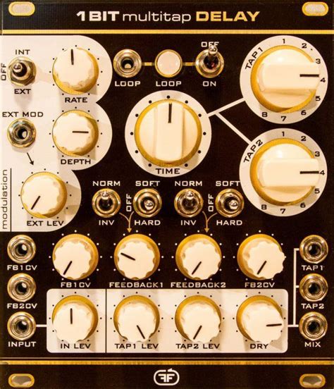 Eurorack Module 1bit Multitap Delay From Feedback Delayed Feedback