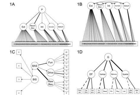 Confirmatory Factor Analysis For Latent Variables Of Interest Line Download High