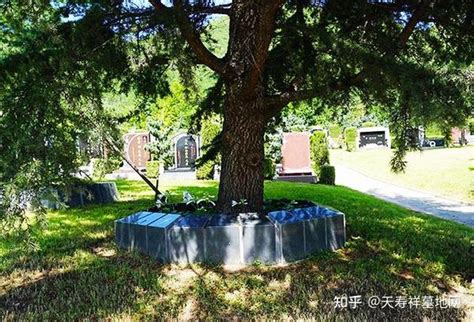 昌平天寿陵园有树葬吗 知乎