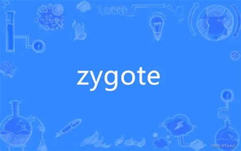 Android学习 Zygote上android Zygote预加载 Csdn博客