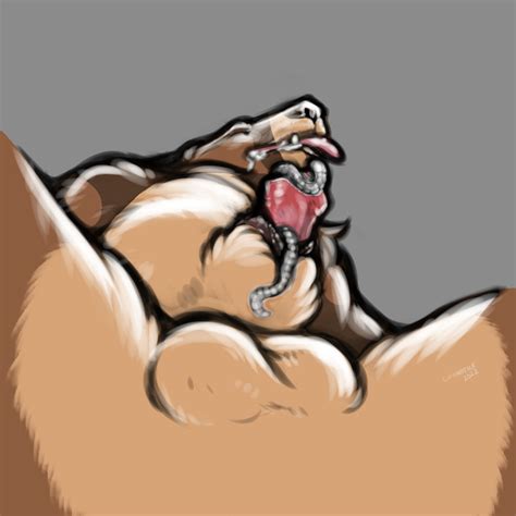 Rule 34 Anatomically Correct Anatomically Correct Genitalia