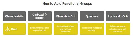 Unlocking The Secrets Chemical Structure Of Humic Acid And Its
