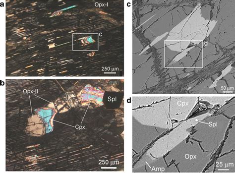 Structure Of Plastically Deformed Crystals Of Enstatite With Diopside