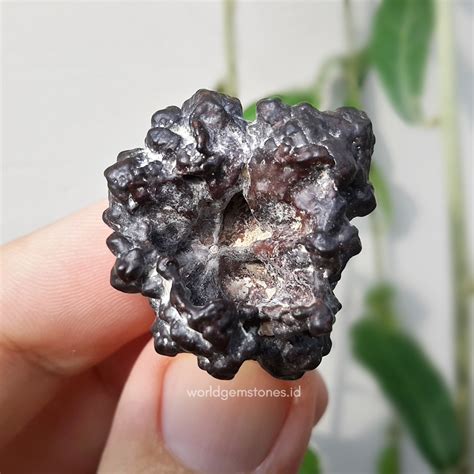 Prophecy Stones Goethite Pseudomorph After Marcasite And Pyrite