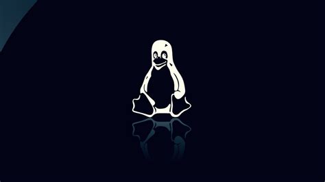 15 Yıllık Linux Kernel Açıkları Tespit Edildi Çözümpark