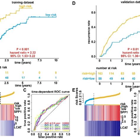 Recurrence Analysis Risk Score Distribution And Evaluation Of The