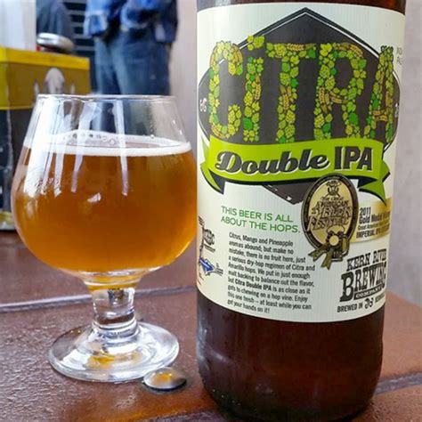 The Top 10 Best Ipa Beers In 2023 Popular Ales Ranked