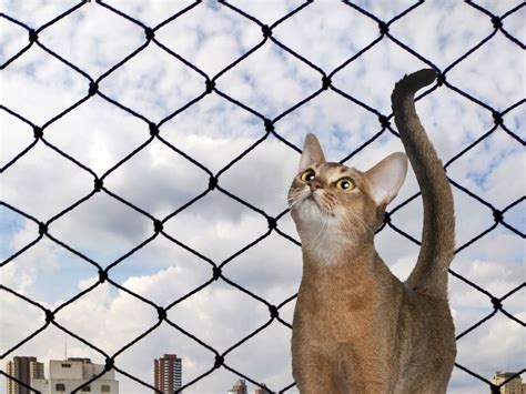 Tela De Segurança Para Apartamentos Em Curitiba Redes De Proteção