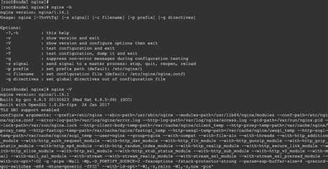 Nginx