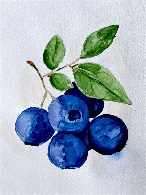 Blueberry Composition Fresh Berries With Leaves Hand Drawn Watercolor