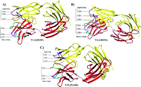 Ribbon Models Of Variants V1 V39 And V4 Fig 4 Depicts The Ribbon