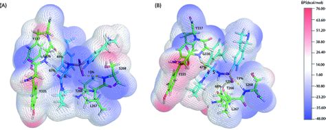 Electrostatic Potential Surfaces Of Qm Region The Electrostatic