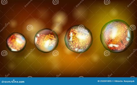 Early Microscope Drawing Stock Image 111421885