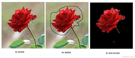 计算机视觉基础20 交互前景提取交互式前景提取 Csdn博客