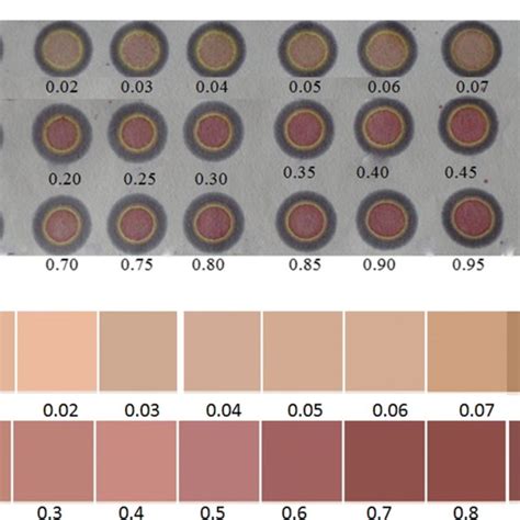 A Colorimetric Assay Of Bilirubin On Paper With Varying Concentrations
