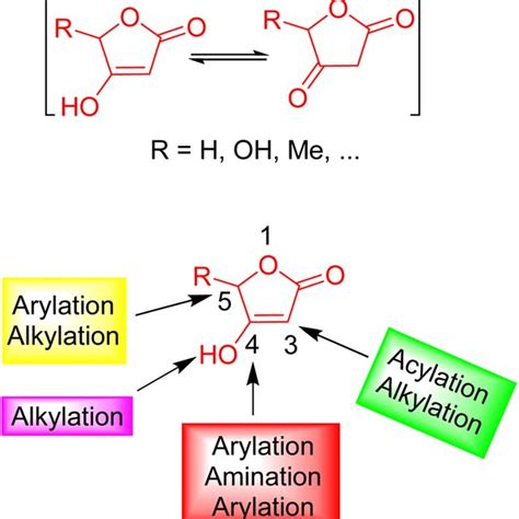 The Structure Of Several Natural Products Contains The Framework Of