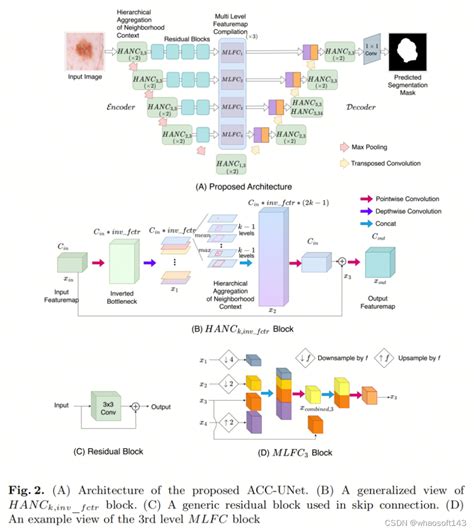 acc unet 卷积与transformer融合的医学图像分割模型 csdn博客