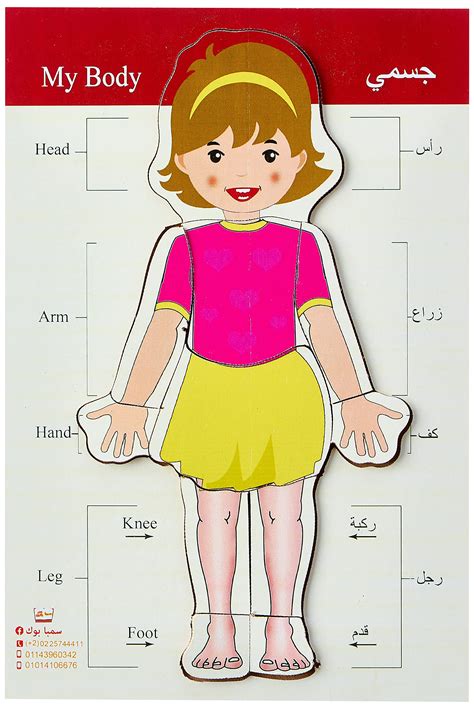 لوحة جسم الانسان