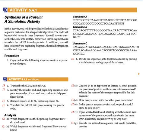Solved Synthesis Of A Protein A Simulation Activity In This