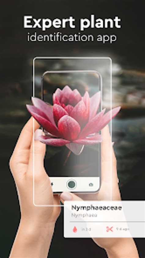 Nature Detect Plant Identify Para Android Descargar