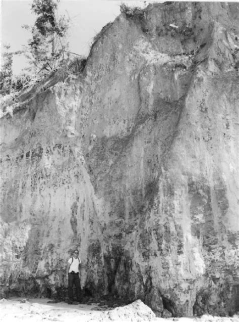 Negative ̄ower Structure Indicating Transtensional Slip Affecting The