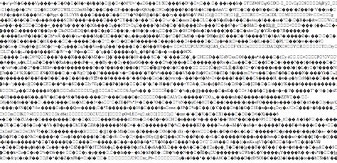 What Is The Reason For A Response Of A Page Full Of Strange Encoded Characters In Php Stack