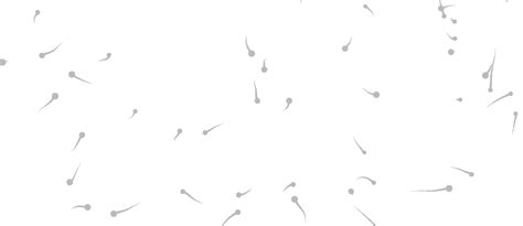 vue 常用炫酷动画库（拿来即用系列） vue动画库 csdn博客
