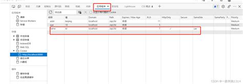 超详细的cookie属性HttpOnly和SameSite引起的漏洞解决方案 cookie without samesite
