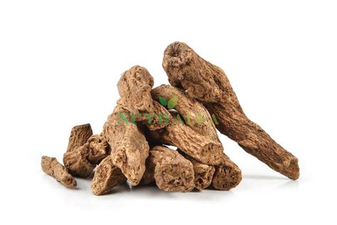 Costus Roots Saussurea Lappa Supplier Nutralfa Ltd