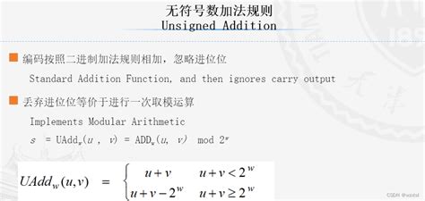 一举消灭掉原码、反码、补码、有符号数、无符号数、符号扩展、运算 Csdn博客