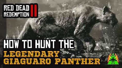 Red Dead Redemption 2 How To Hunt The Legendary Giaguaro Panther