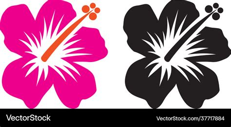 Purple Hibiscus Flower Vector Images Over 1 300