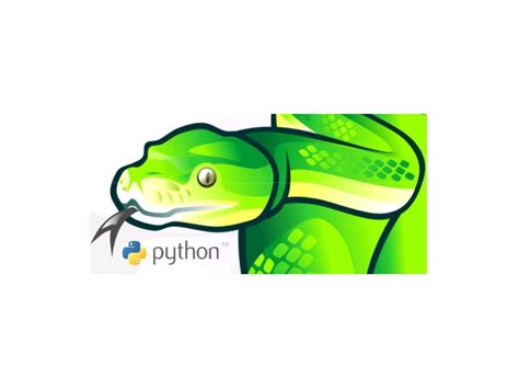 pdf de programación python programación orientada a objetos