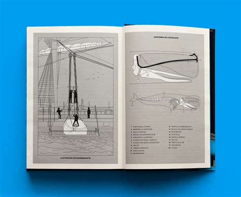 Moby Dick Illustration E Design On Behance