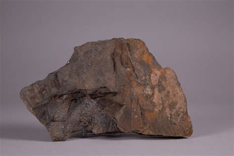 Gum Gents Universiteitsmuseum