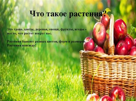 Презентация на тему Растения