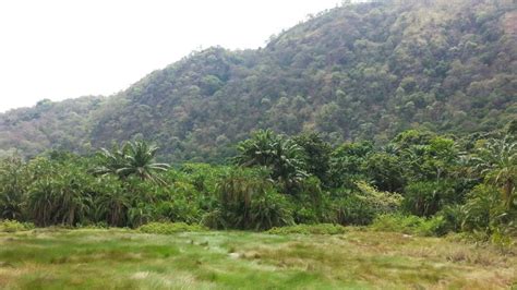 Type Locality Photo By R Fiebig Download Scientific Diagram