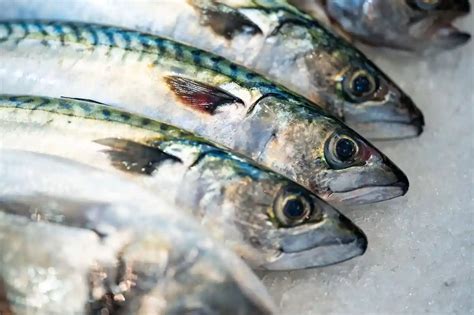 Цены на рыбу в Германии выросли