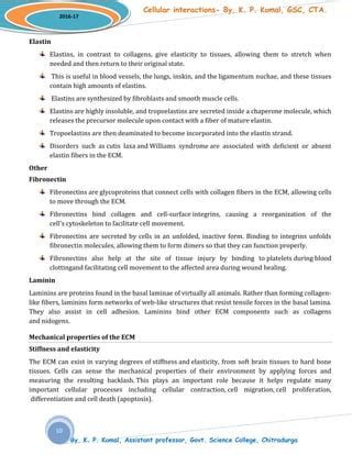 Unit 3 Cell Cell Interactions PDF Biological Sciences Science