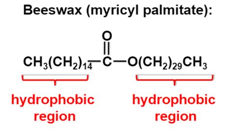 Beeswax Structure