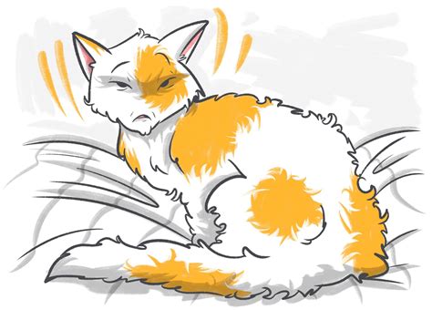 Hyperthyroidism In Felines Symptoms And Treatment