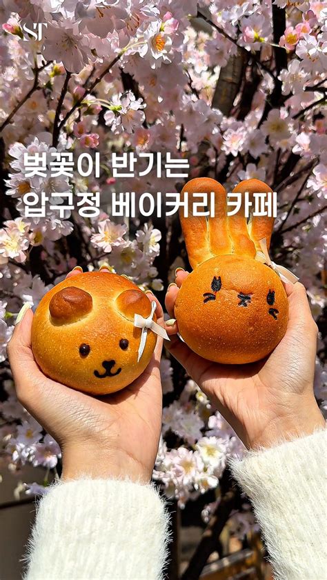 포토그래퍼의 【공간 탐닉】 일본편의점🇯🇵 찐추천 ‘리스트정리 7일간 30개를 먹은 편의점 디저트 실패했던 것은 제외하고