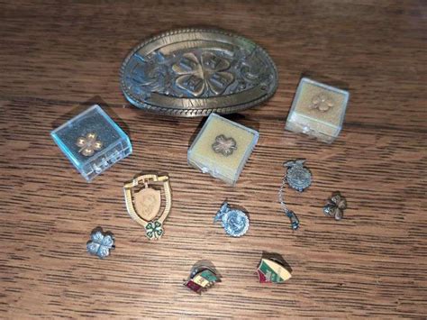 Hc Asstd 4 H Ffa And Aksarben Pinsbelt Buckle Isabell Auction