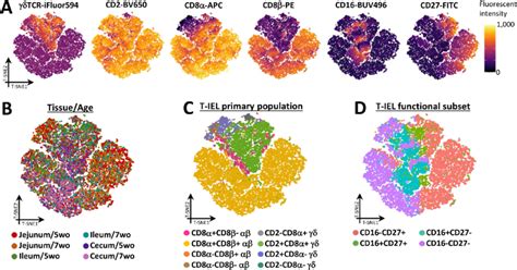 T Iel Populations Identified Via Flow Cytometry T Sne Plot