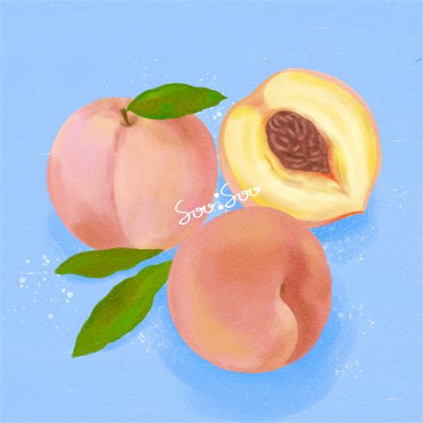 복숭아 일러스트 By 일러스트레이터 수수 포트폴리오 노트폴리오