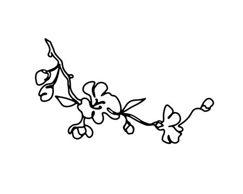 Cherry Branch With Flowers One Line Art Or Sprimg Blooming Apple